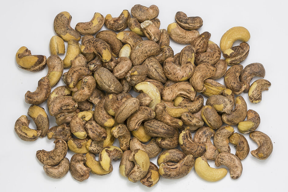 Cashewnuts Vietnam Testa | King Nuts & Raaphorst B.V.