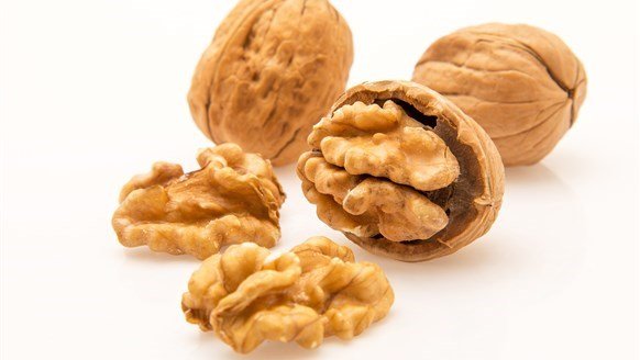 Organisation | King Nuts & Raaphorst B.V.